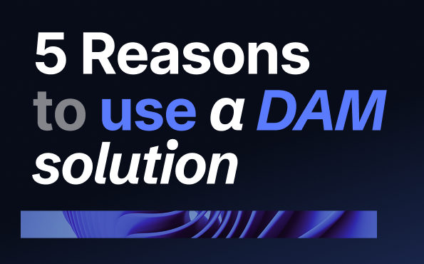 White Paper - 5 Reasons to Use a DAM Solution - MaPS System
